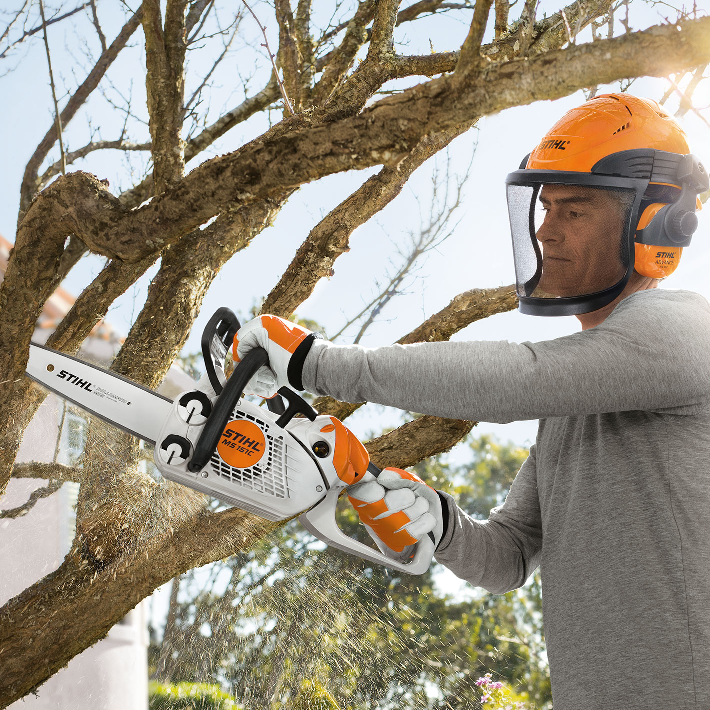 MS 151 C-E und MS 151 TC-E Motorsäge kaufen | STIHL