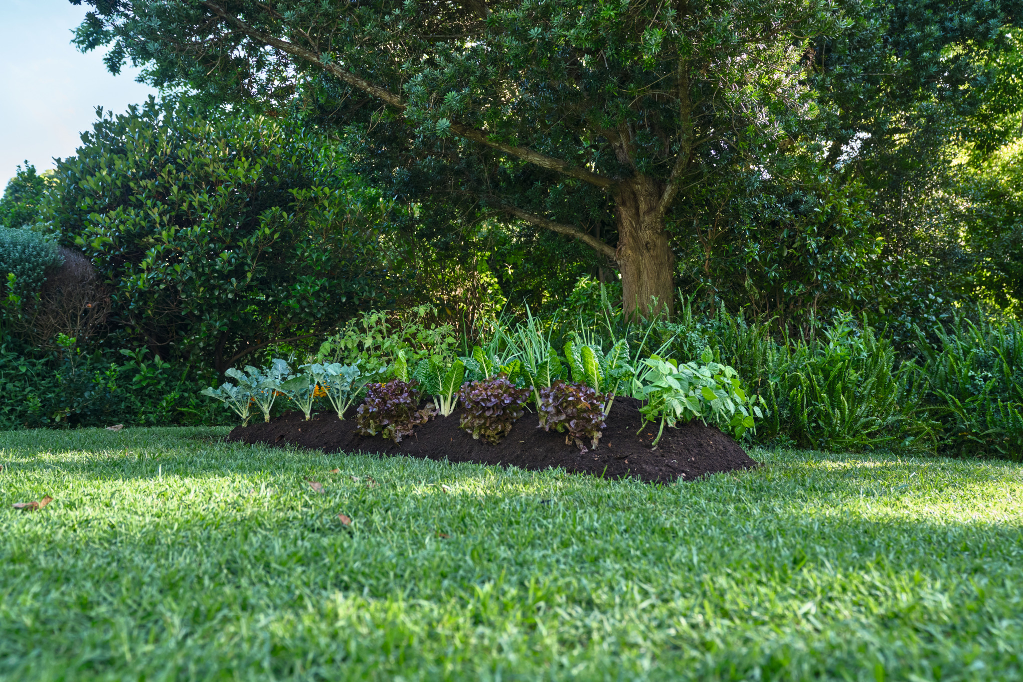 Beetwege anlegen: Anleitung & Ideen | STIHL