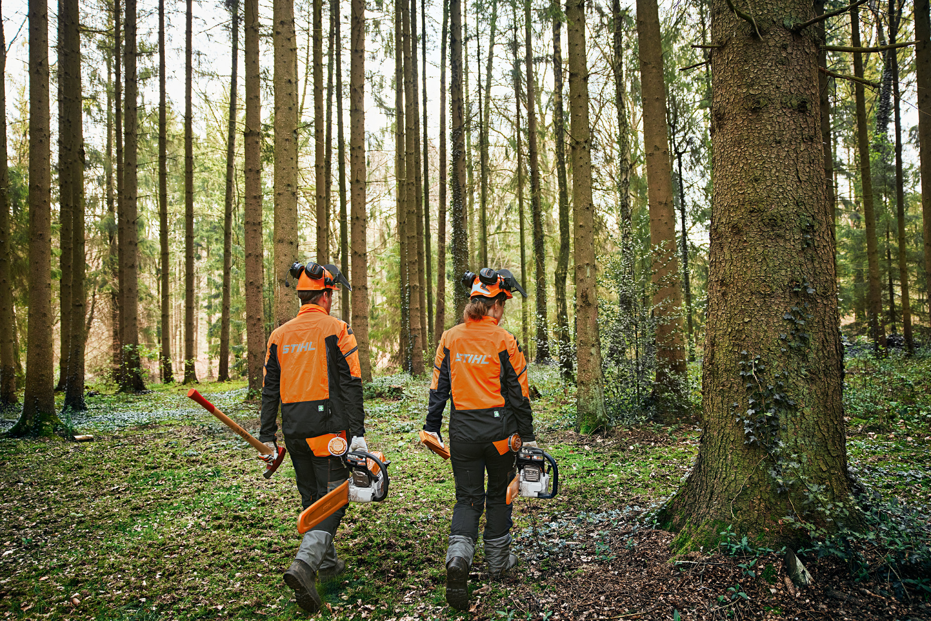 STIHL Profi Newsletter | STIHL